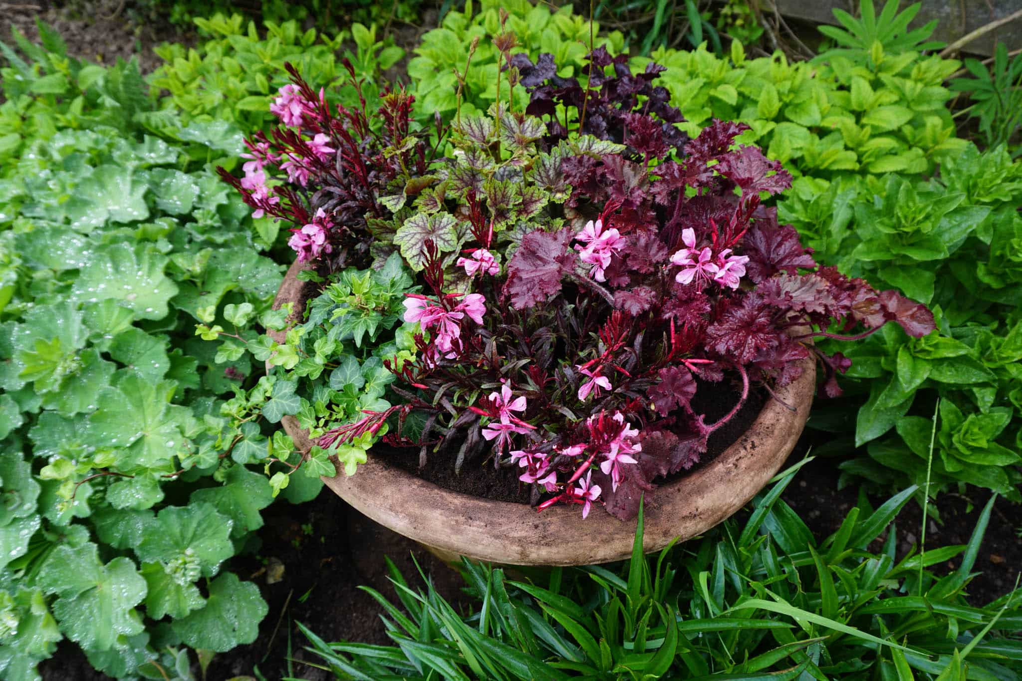 Climate Control for Healthier Plants - Professional Gardening Tips