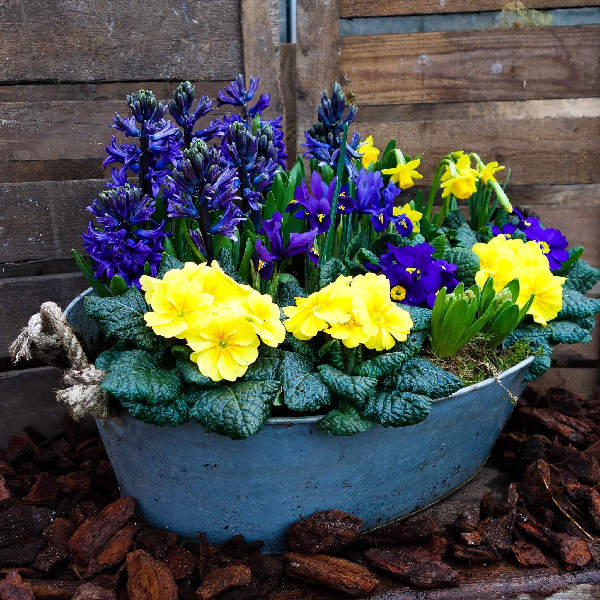 Gardening with Jennifer Moore - Professional Gardening Tips