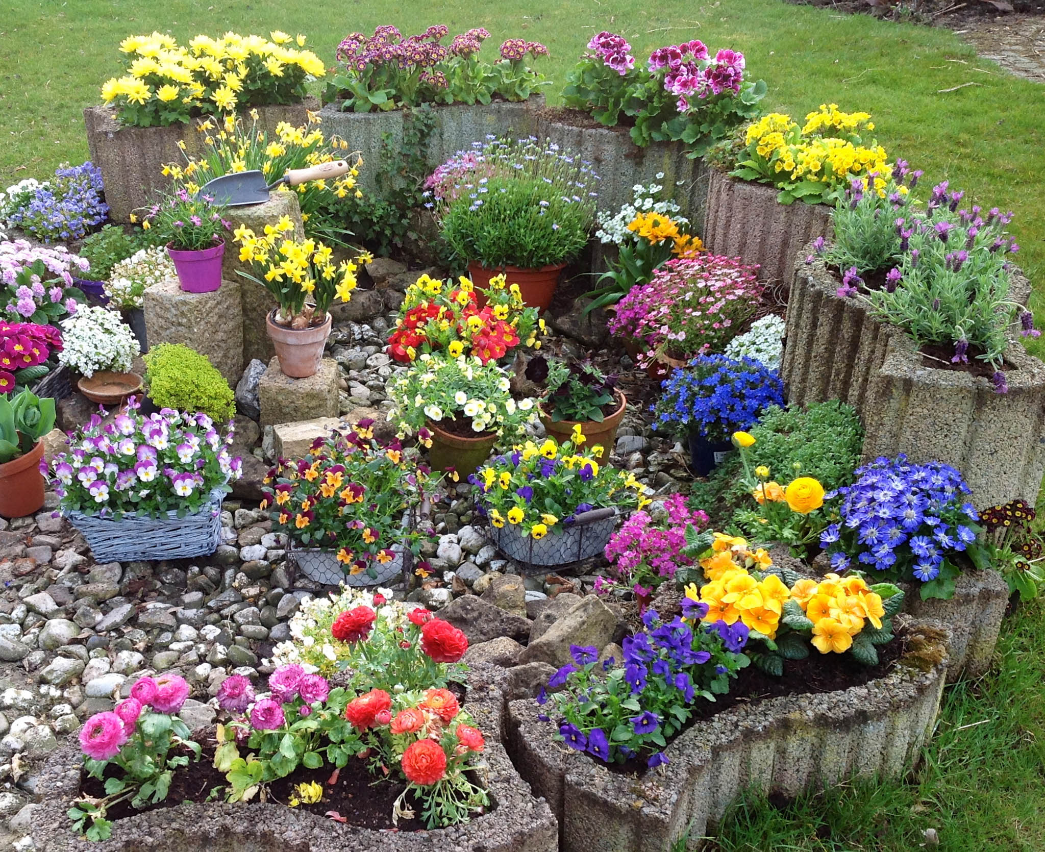 Organic Pest Insect Control - Professional Gardening Tips