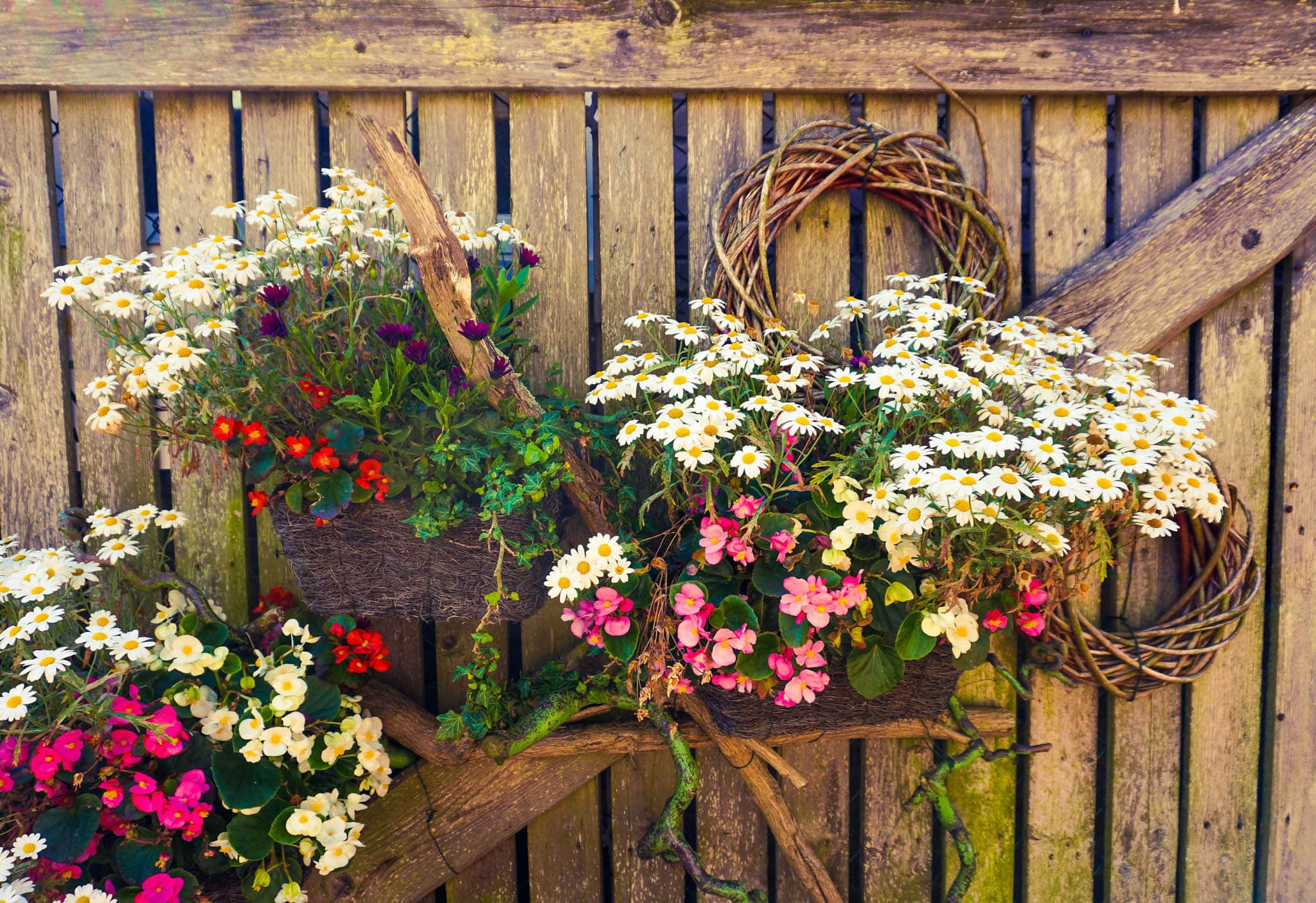 Using Seaweed as a soil compost or manure - Professional Gardening Tips