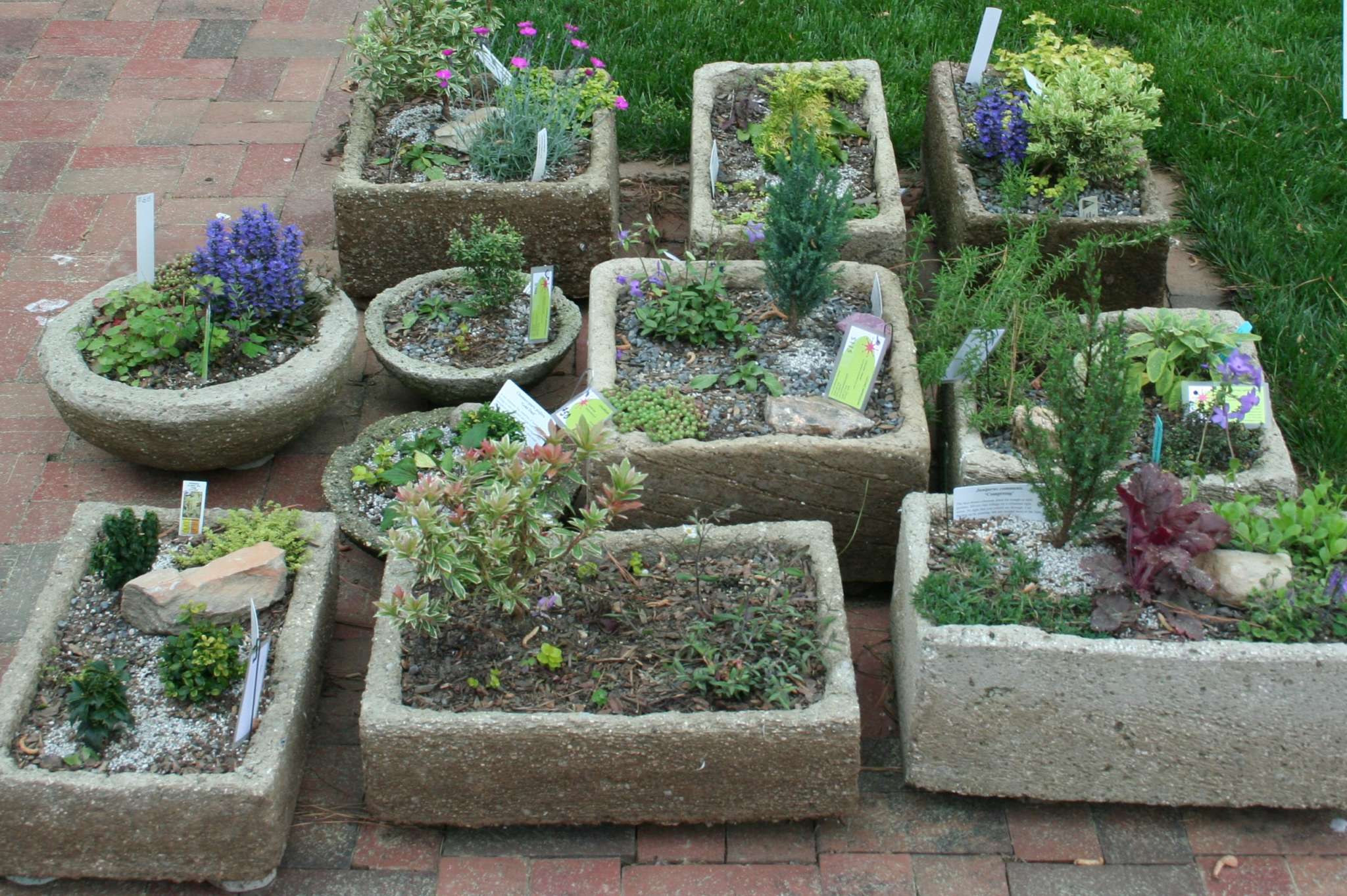 How to make a Hypertufa trough - Professional Gardening Tips
