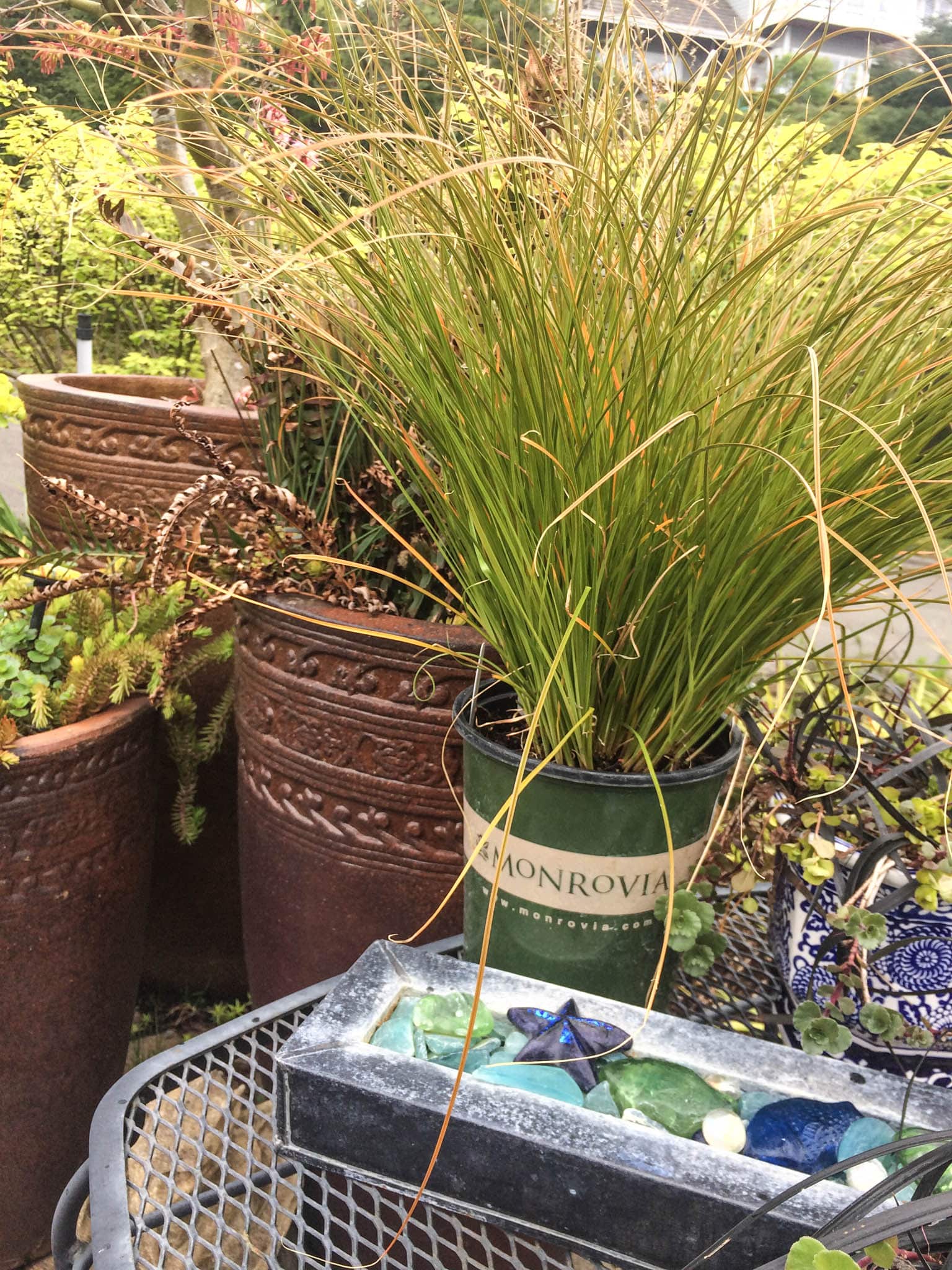 Simple Front Porch Container Design - Professional Gardening Tips