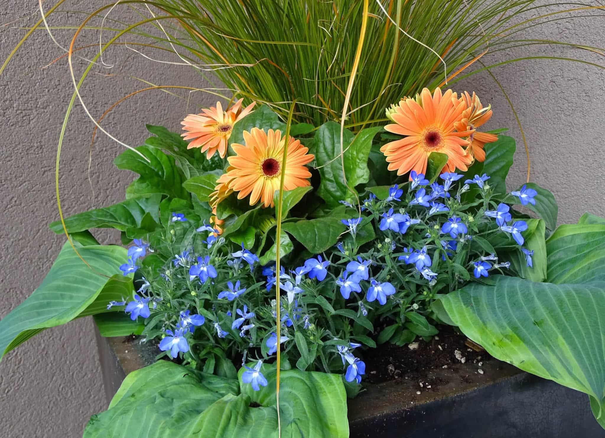 Simple Front Porch Container Design - Professional Gardening Tips