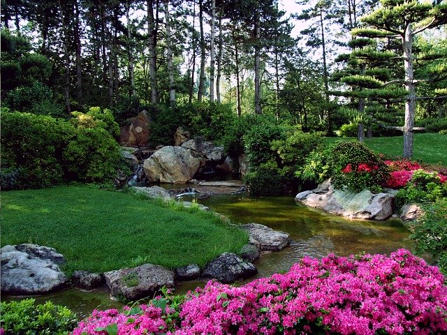 Tips For Proper Landscaping For Your Garden - Professional Gardening Tips