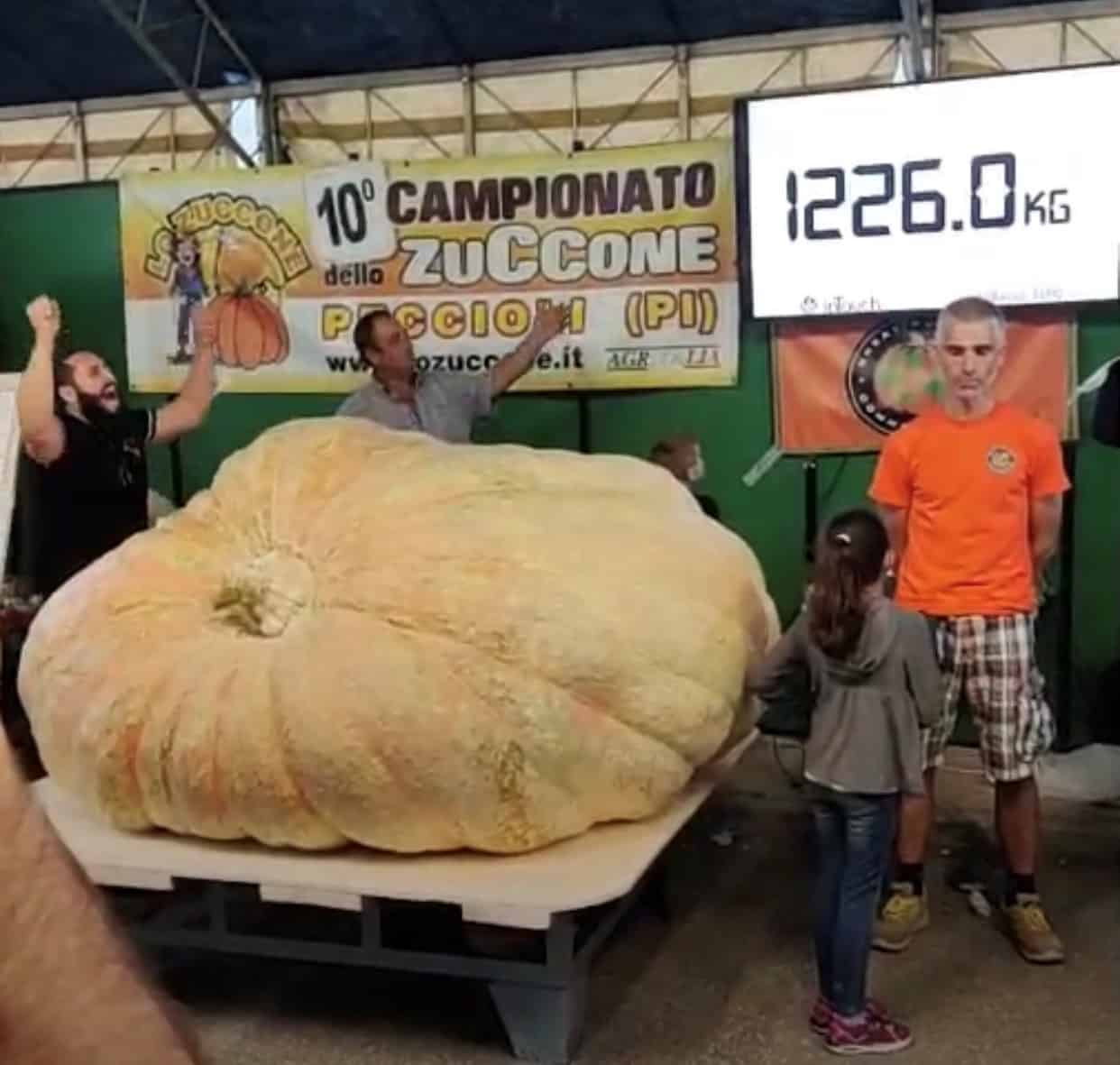 World Record Giant Pumpkin by Year - Professional Gardening Tips