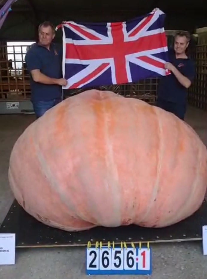 Giant Pumpkin Records in the World - Country, State, & Province - 2025 ...