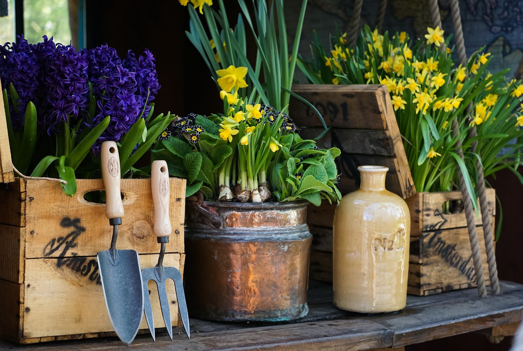 10 Gifts Every Gardener Will Love - Professional Gardening Tips